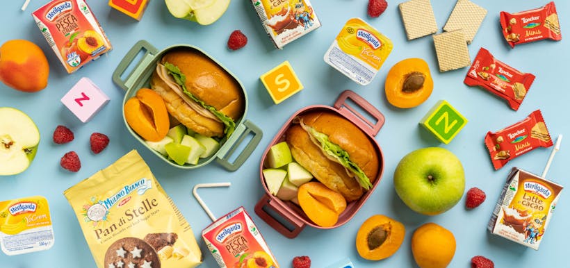 5 Easy Back-to-School Snack Box Ideas! | Casinetto