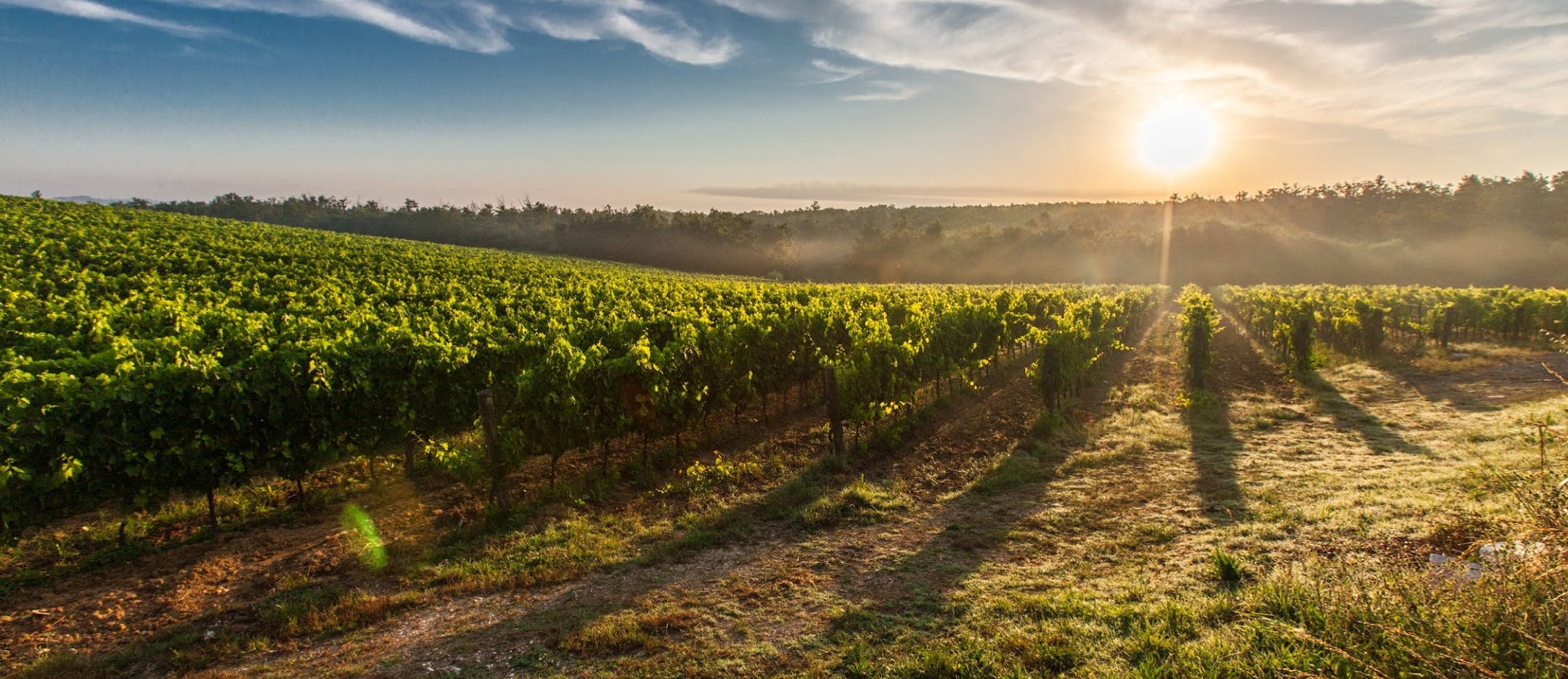 About us | Casinetto