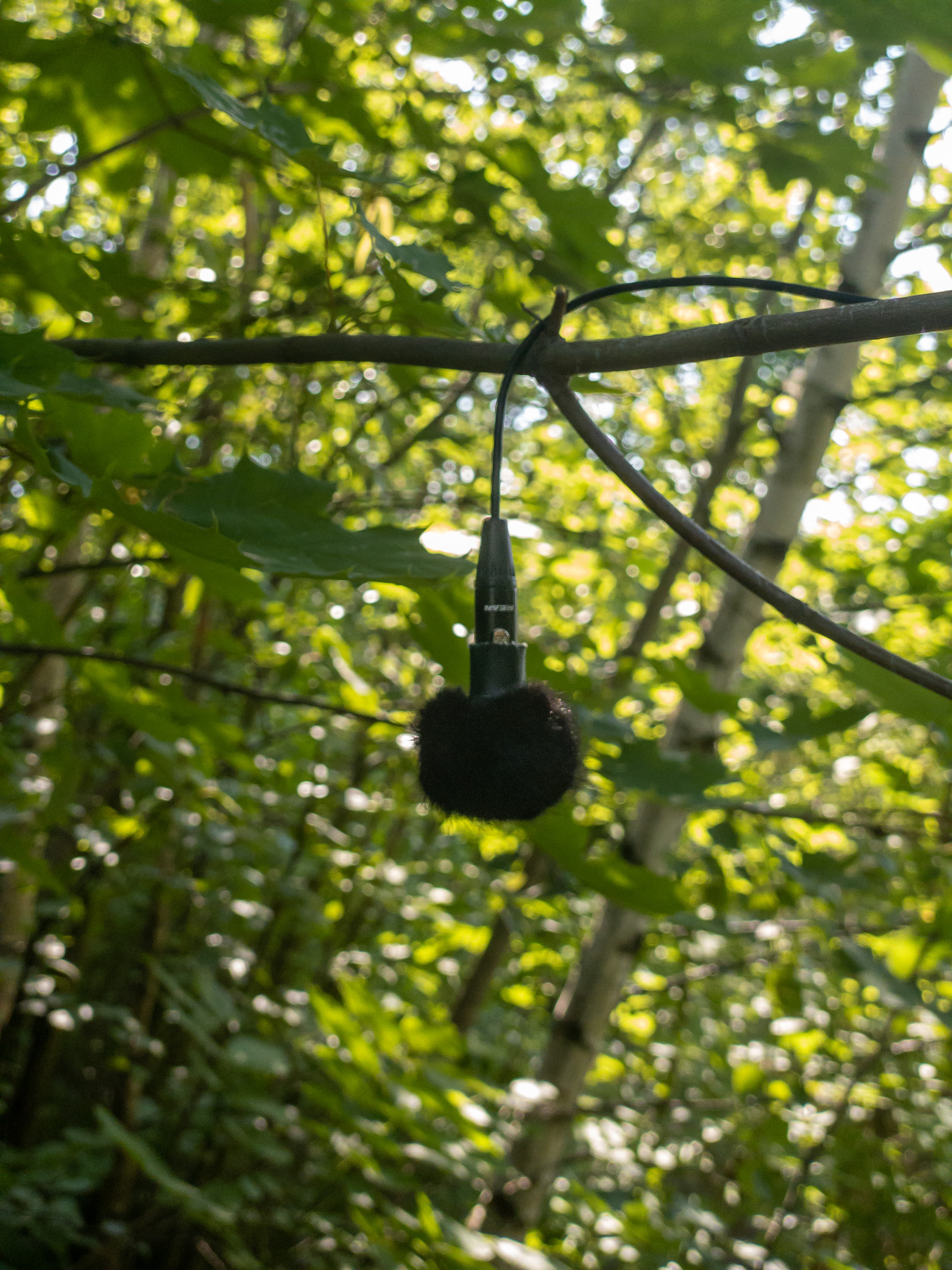 Signals Festival 2022 Workshops | Catalyst