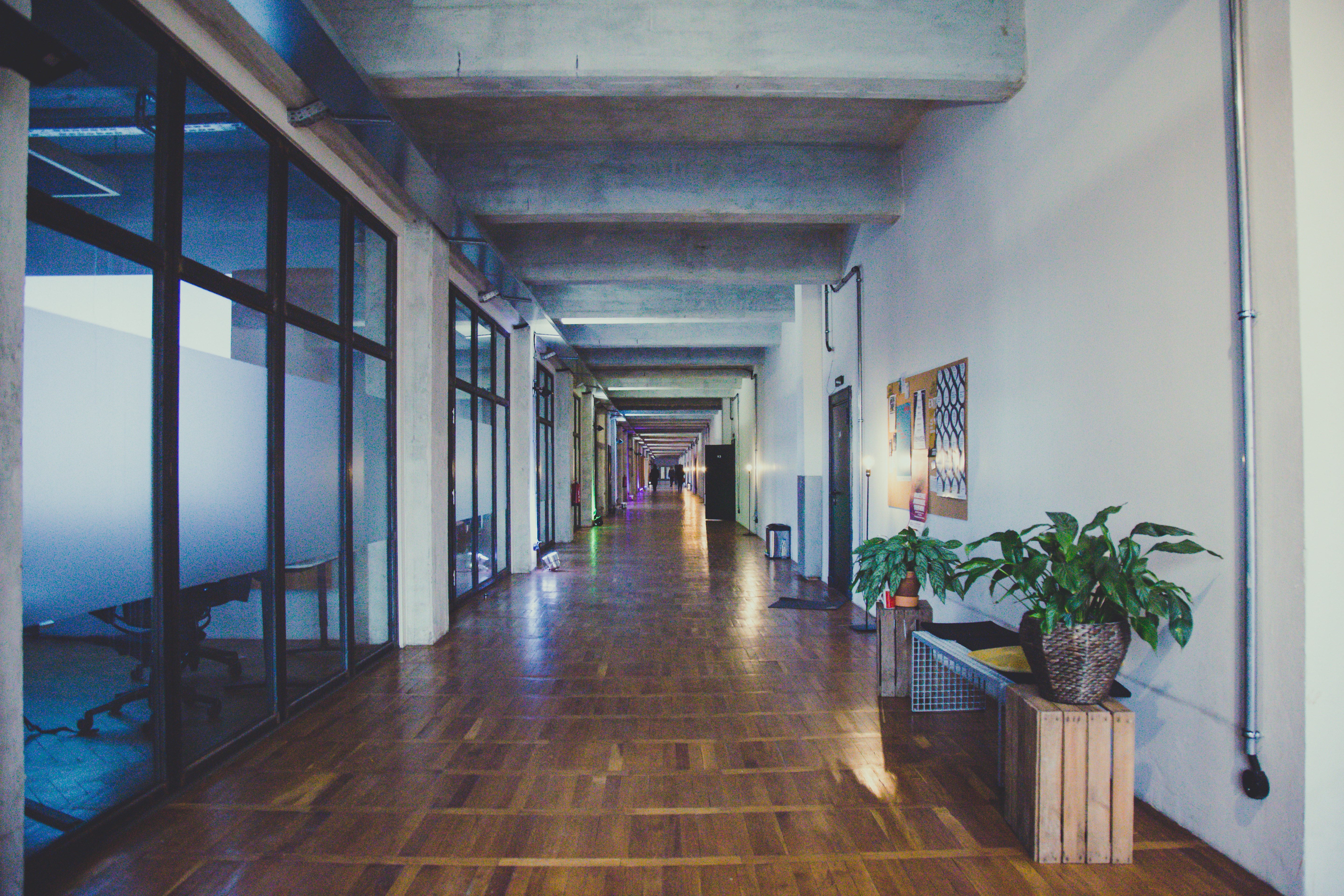 Catalyst – Institute for Creative Arts and Technology