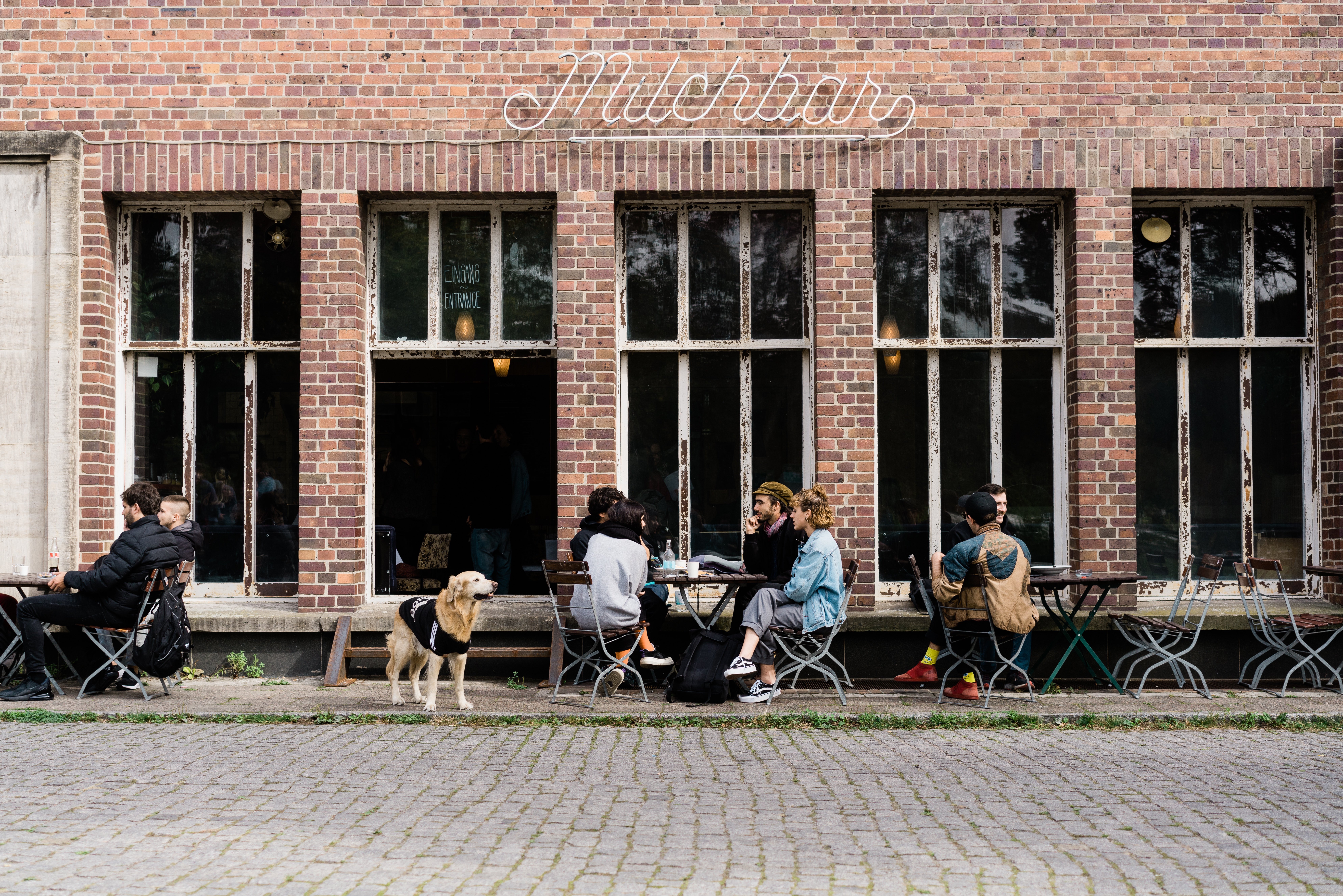 Catalyst – Institute for Creative Arts and Technology
