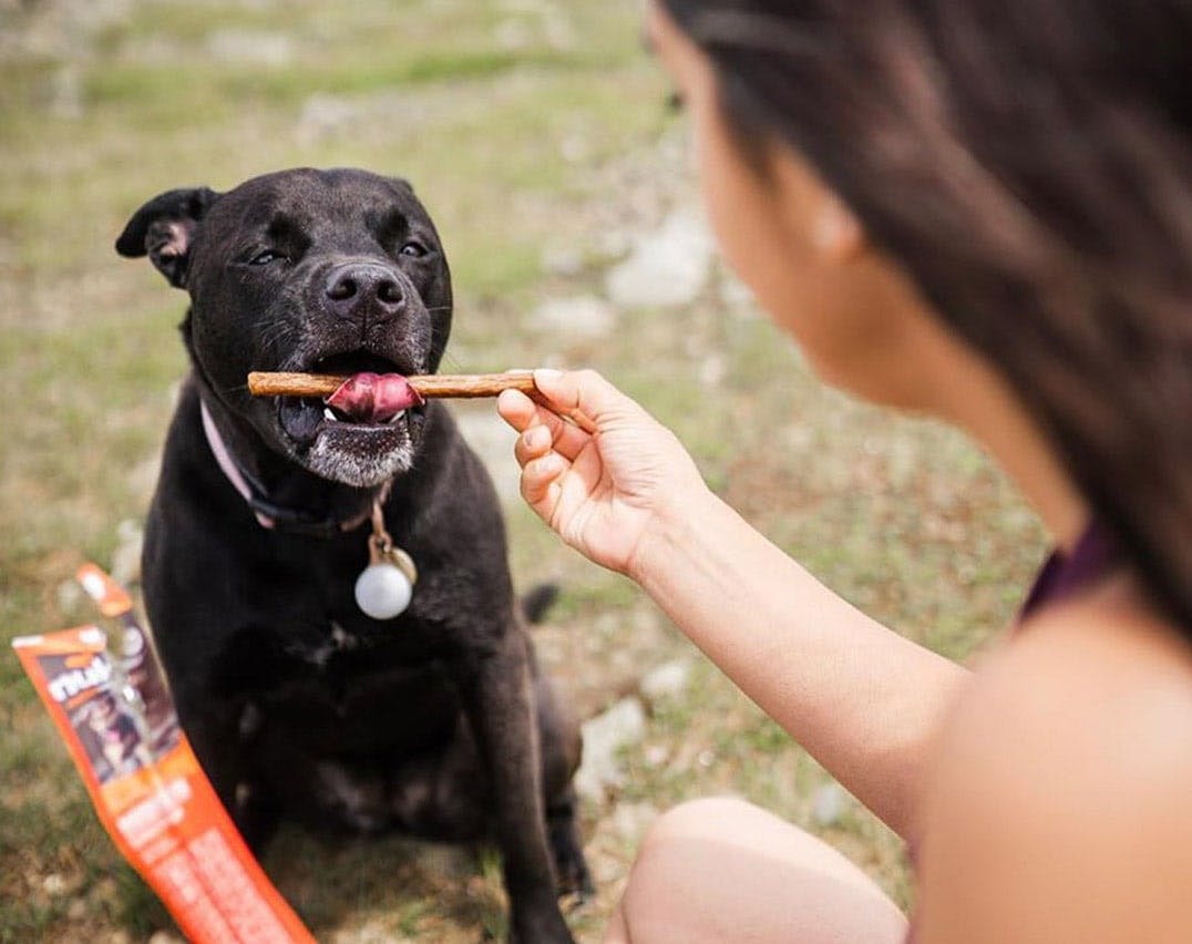 Nulo | CAVU Consumer Partners