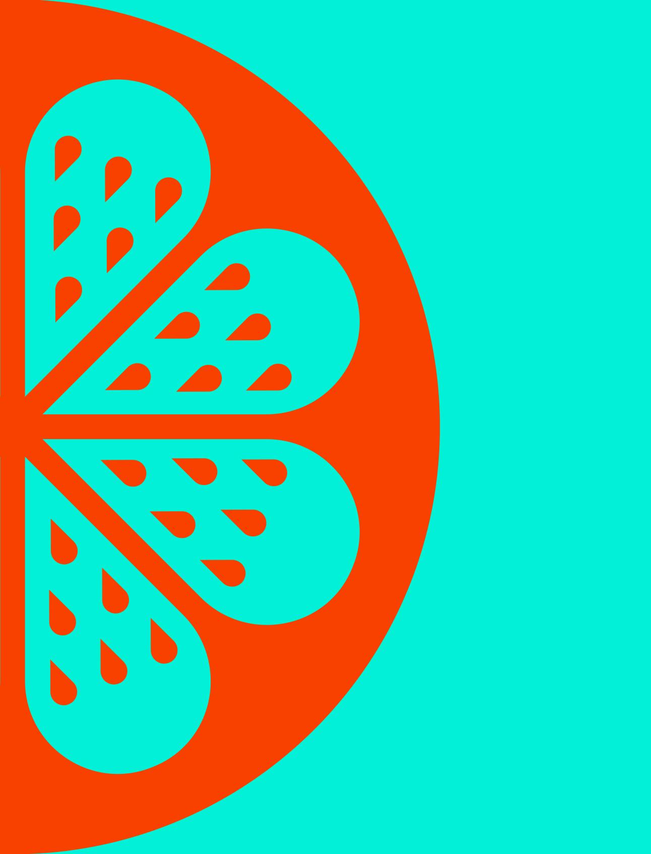 POPPI: Brand Refresh | CAVU Consumer Partners