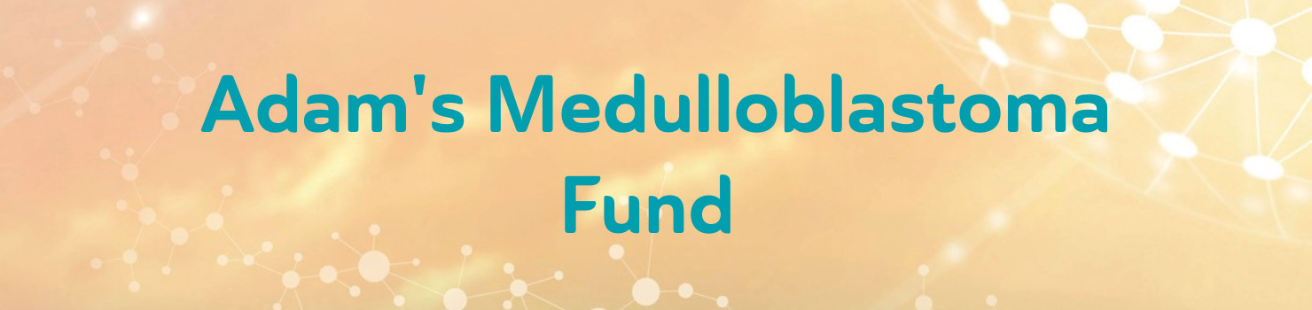 Adam's Medulloblastoma Fund