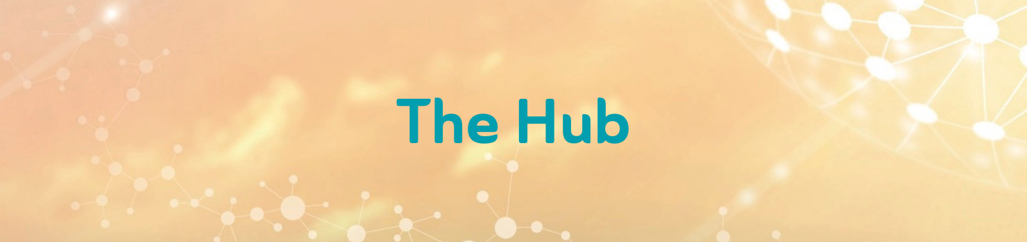 Special Named Fund Hub