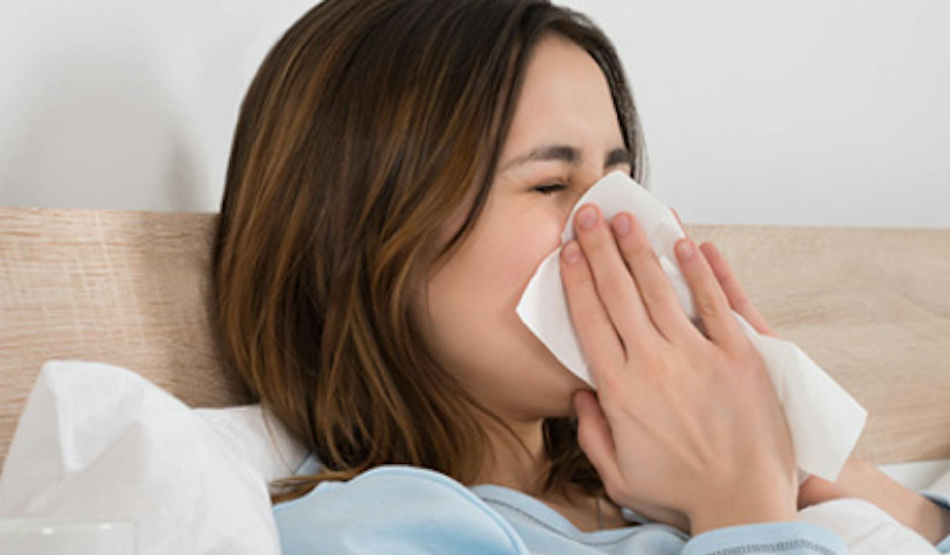 CDFH | Nos formations