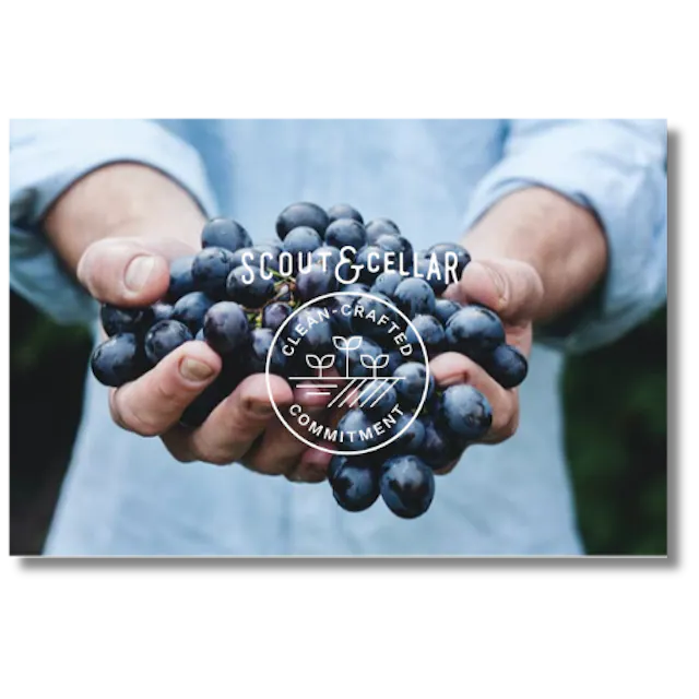 Scout & Cellar | Wine | Coffee | Cooking Products - Scout & Cellar