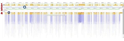 Entity API Performance – Cesium