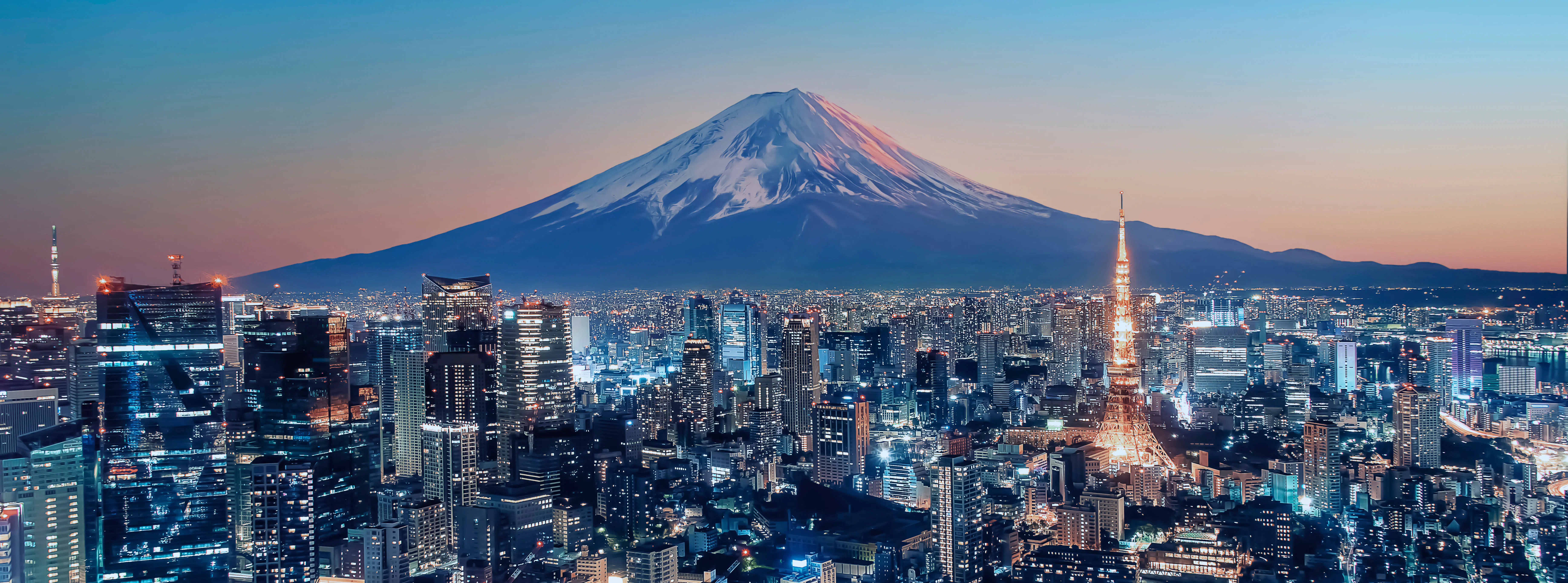 Japan Ecosystem Grants – Cesium
