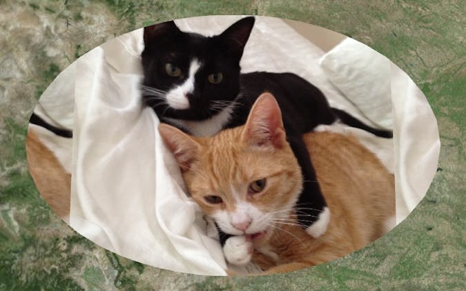 Creating Entities – Cesium