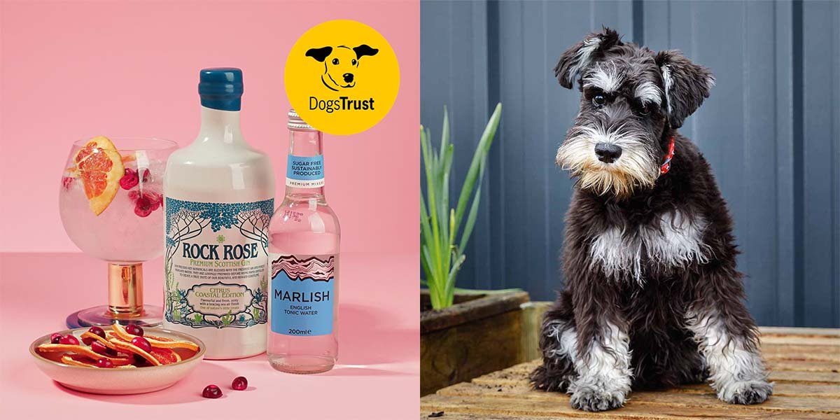 Craft Gin Club and Dogs Trust have teamed up with five fabulous ...