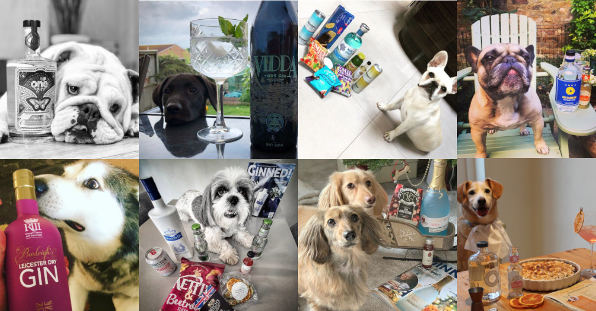 Let’s celebrate gin… and pups! - Craft Gin Club | The UK's No.1 gin club