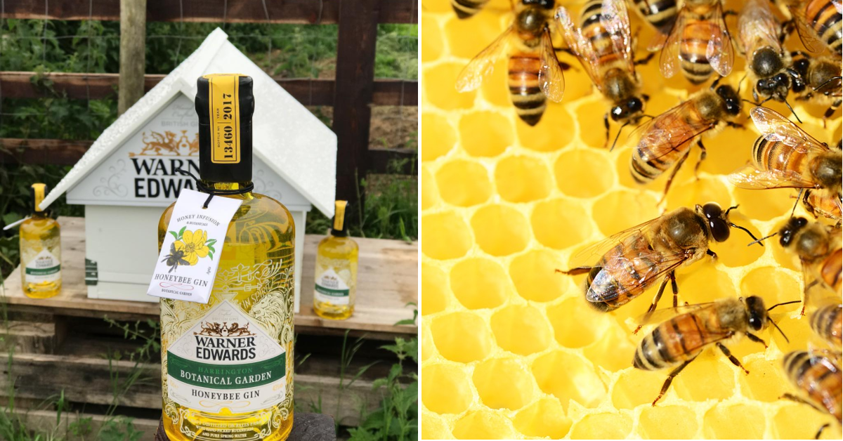 Love Warner Edwards Honeybee Gin? 5 ways YOU can help save the bees ...