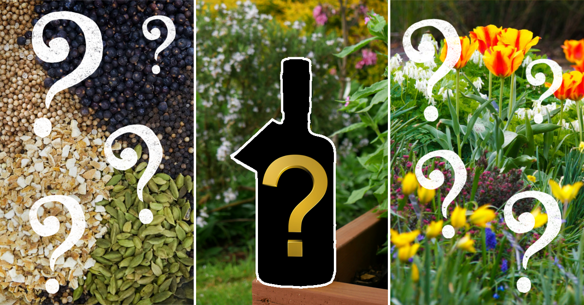 June's Gin of the Month box has arrived! What's inside? - Craft Gin ...