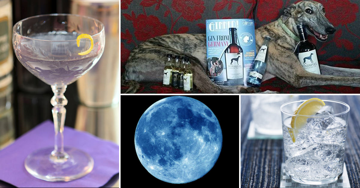 The Week in Gin: Blue Moons, Gin Dogs and the Science of G&Ts ...