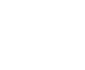 The Role of the IDVA | Changing Lives