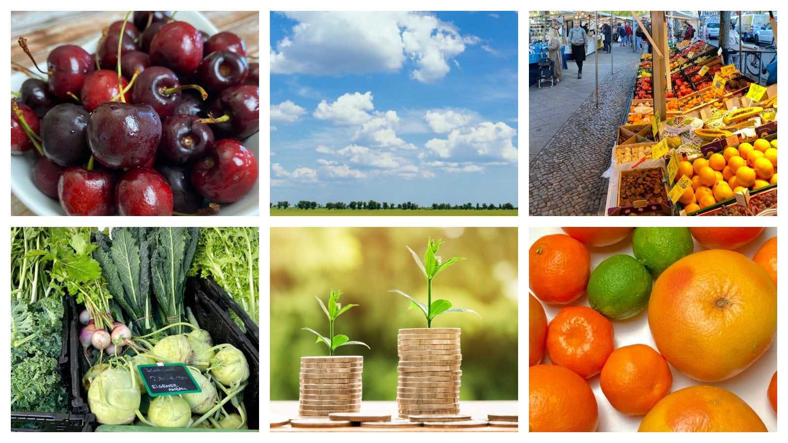 Eating with the Seasons: 6 Reasons You Should Choose Seasonal Foods ...