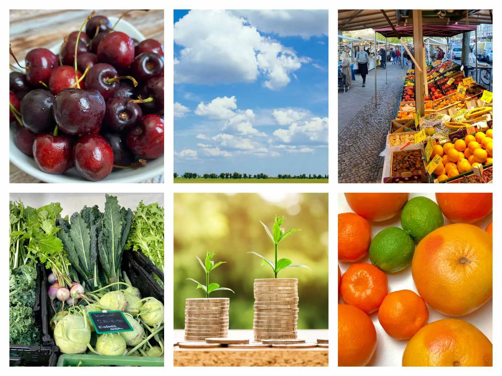 Eating with the Seasons: 6 Reasons You Should Choose Seasonal Foods ...