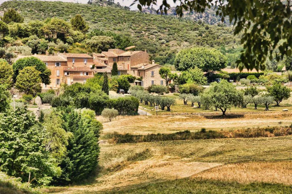 The Mediterranean food; history and mix of cultures | Chef H. Delgado