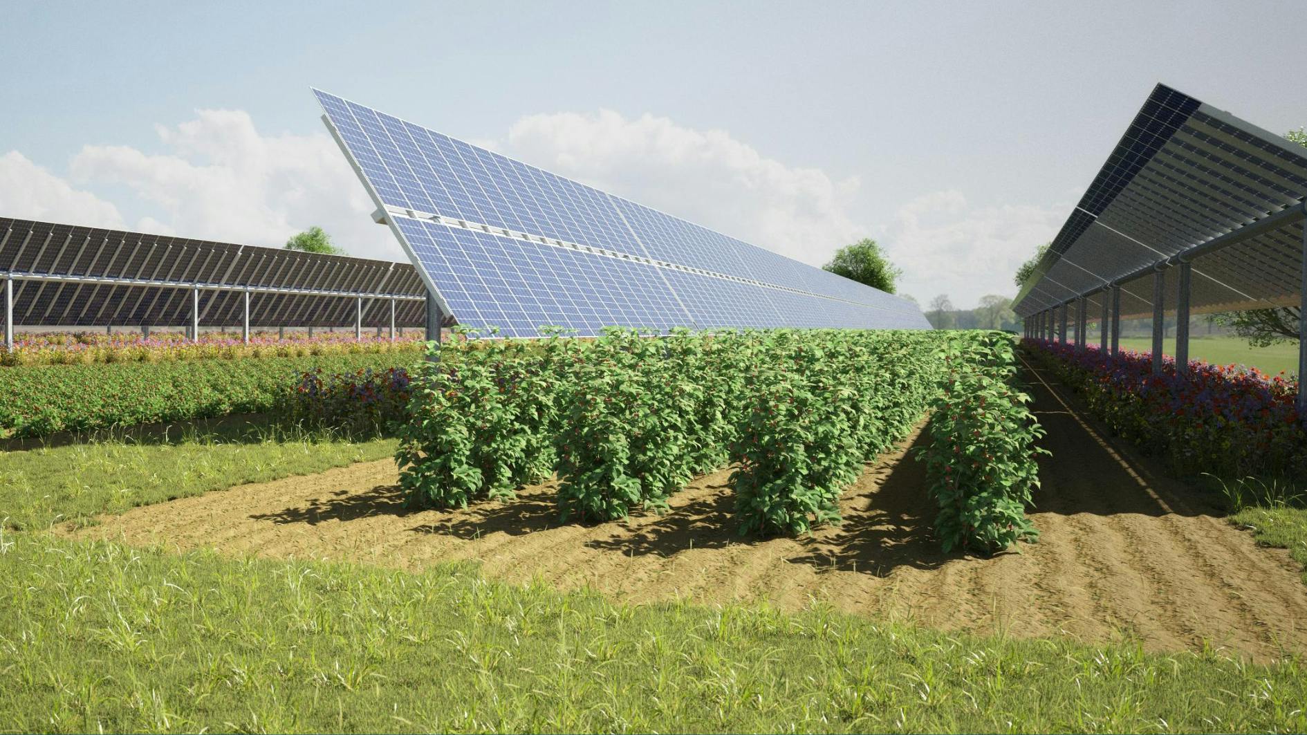 Exploring the Symbiosis of Agriculture and Solar Power in Agrivoltaic Plants