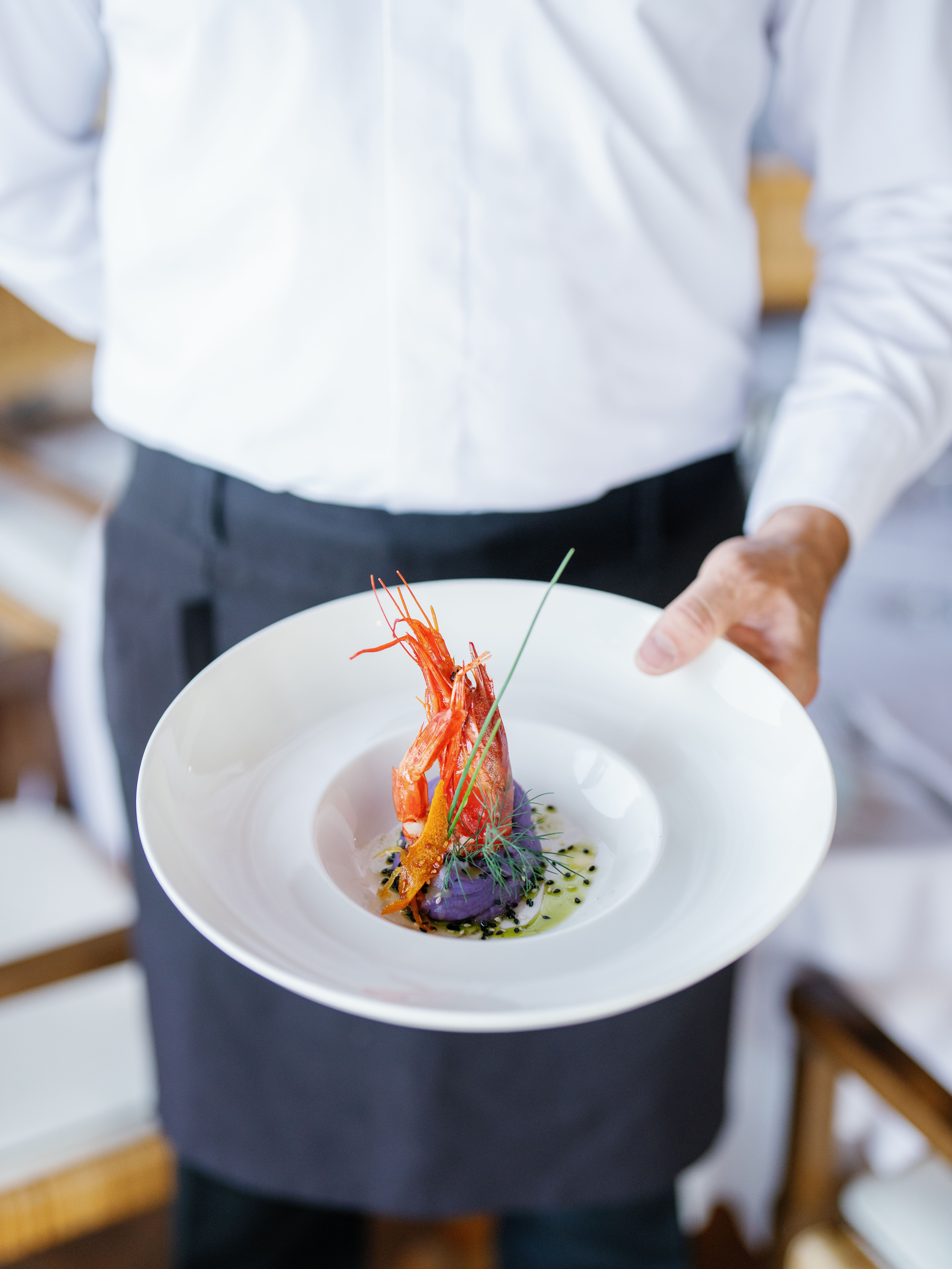 Hotel Pitrizza | Luxury Hotel near Porto Cervo