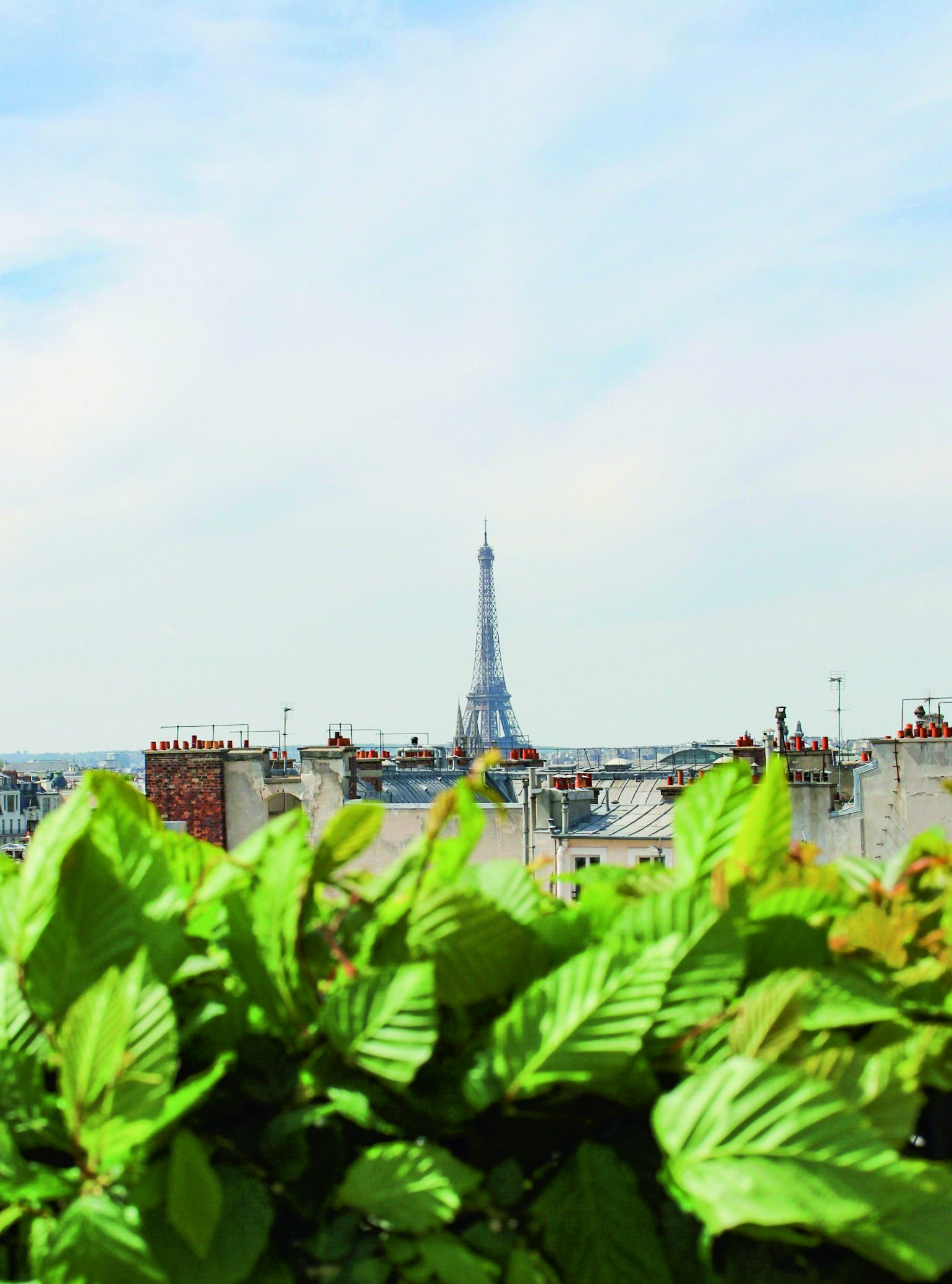 Luxury Hotel in Paris │ Cheval Blanc Paris Hotel