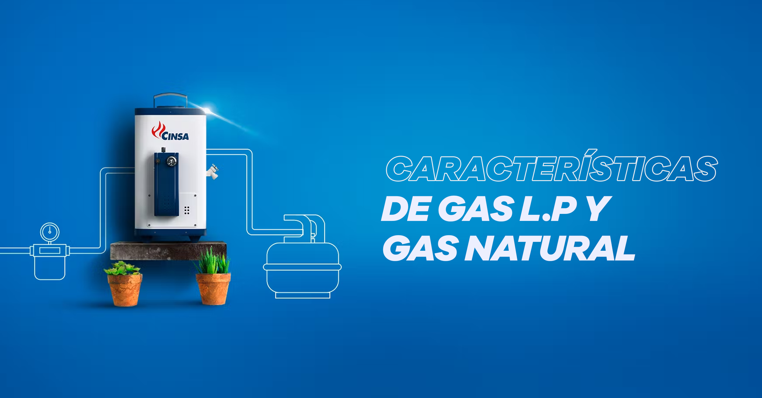 Diferencía las características de los modelos con gas LP y gas Natural