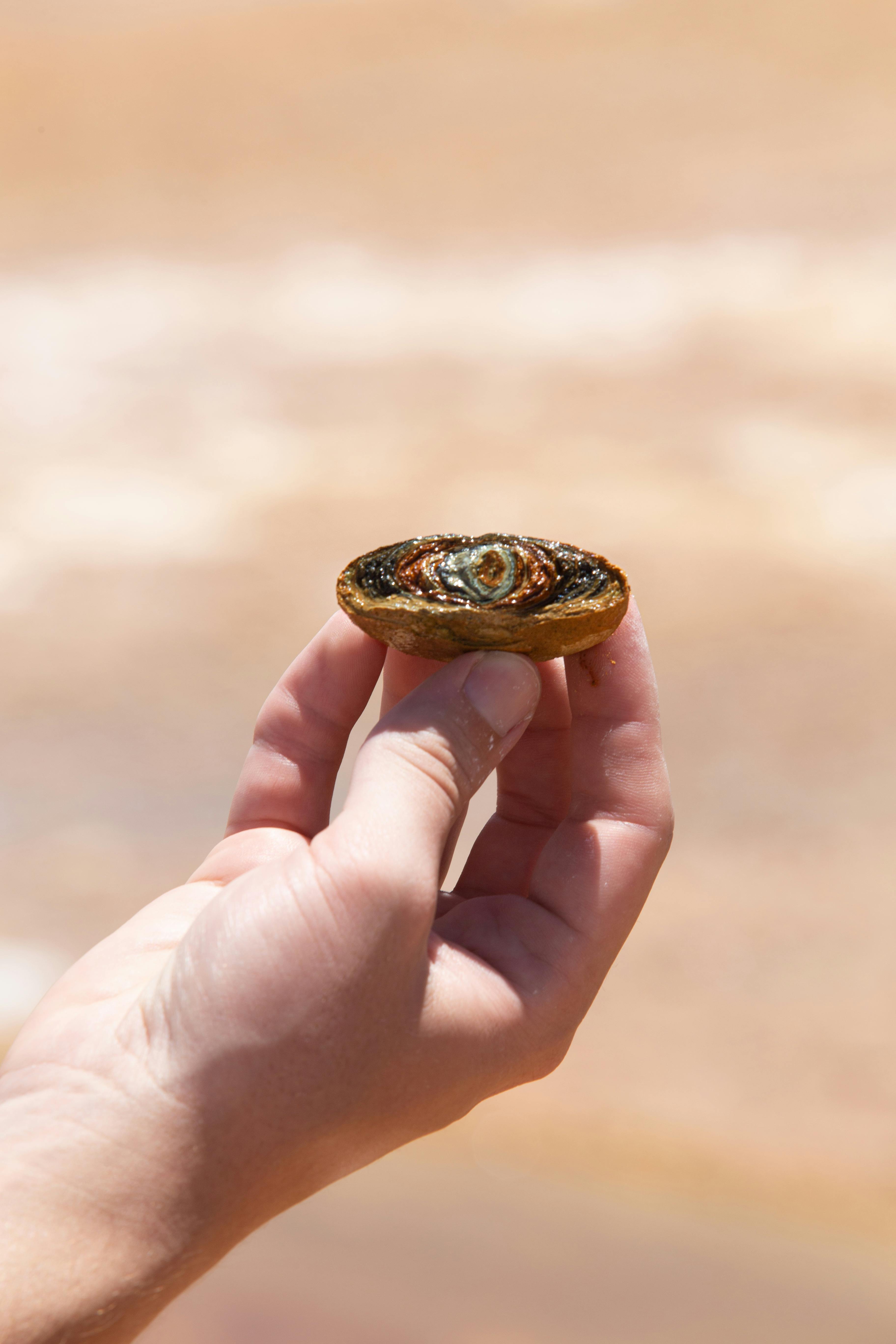 PunaBio | The future of biologicals, powered by living fossils