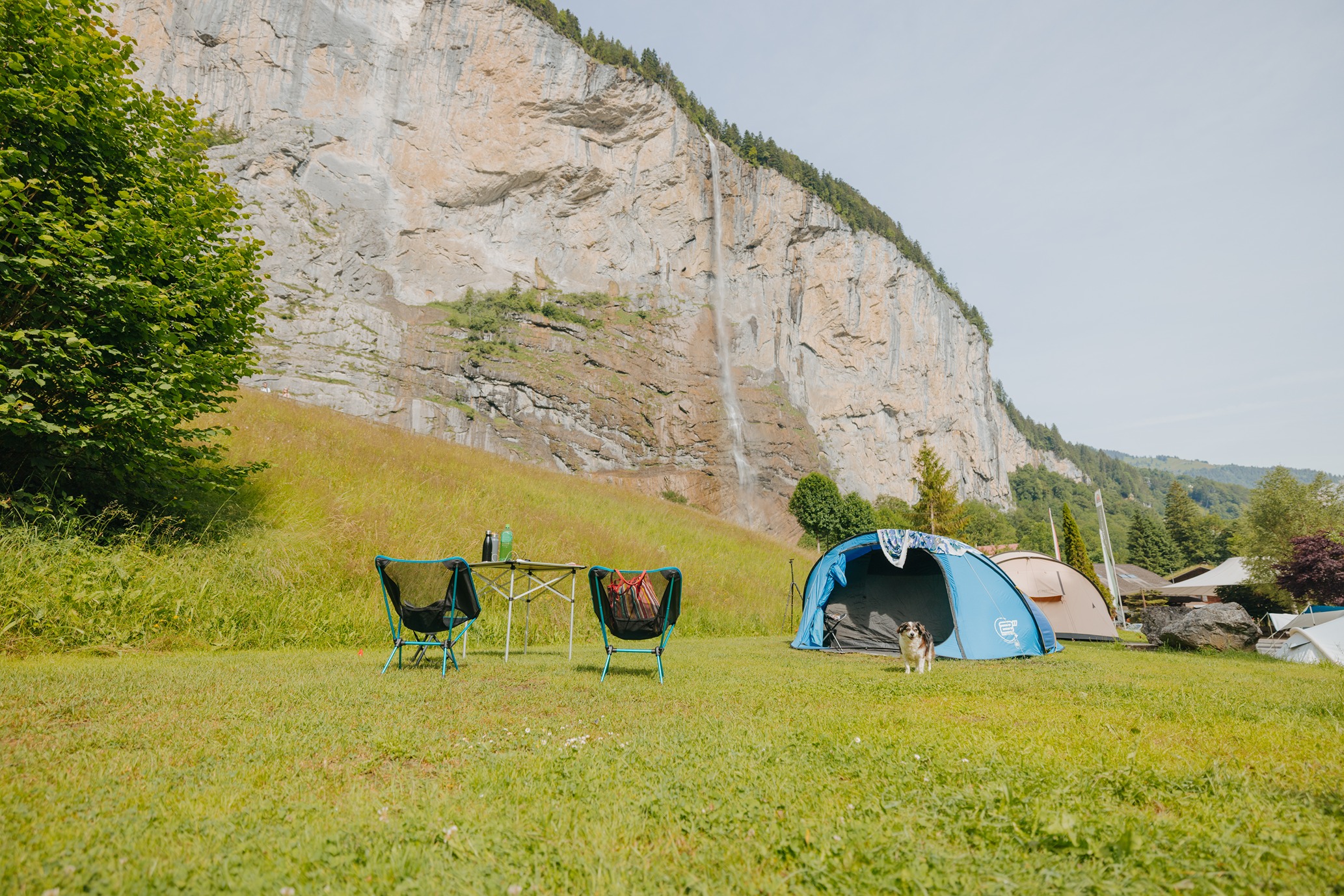 Basic tent pitch with a tent and two chairs set up, a little dog in ...