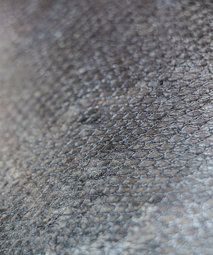 Destinations - Clase Azul