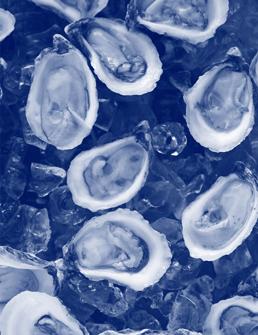 Clase Azul · Destinations