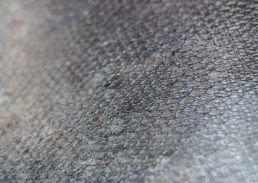 Destinations - Clase Azul