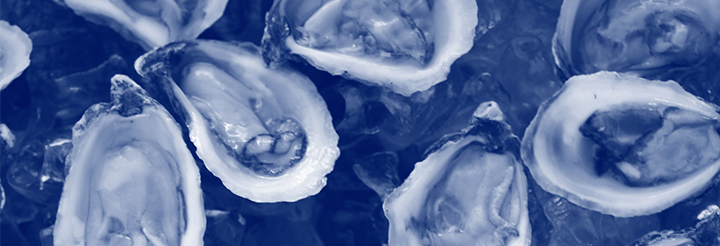 Clase Azul · Destinations