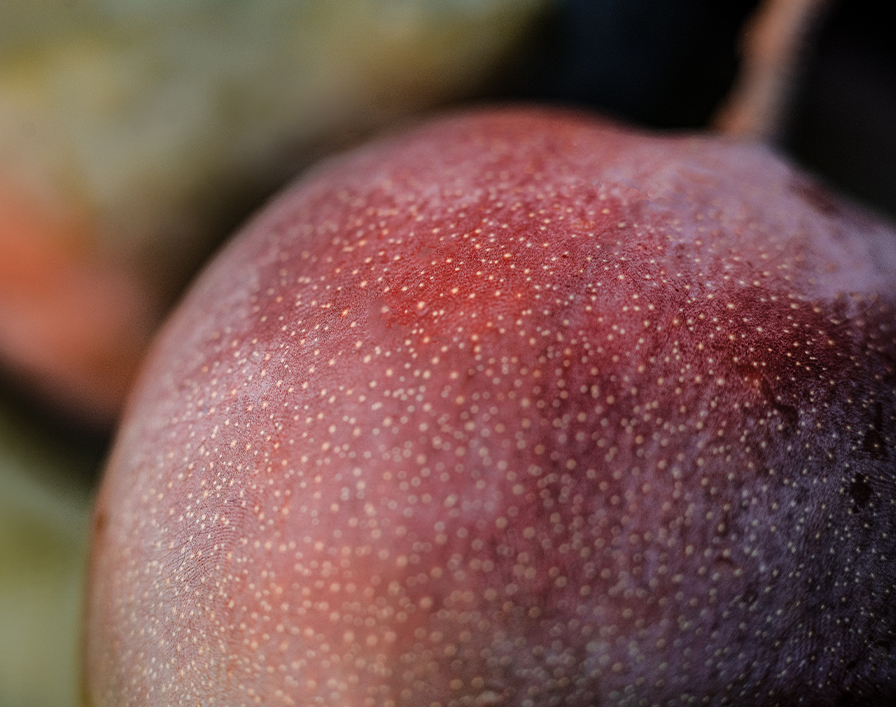 Clase Azul · Destinations