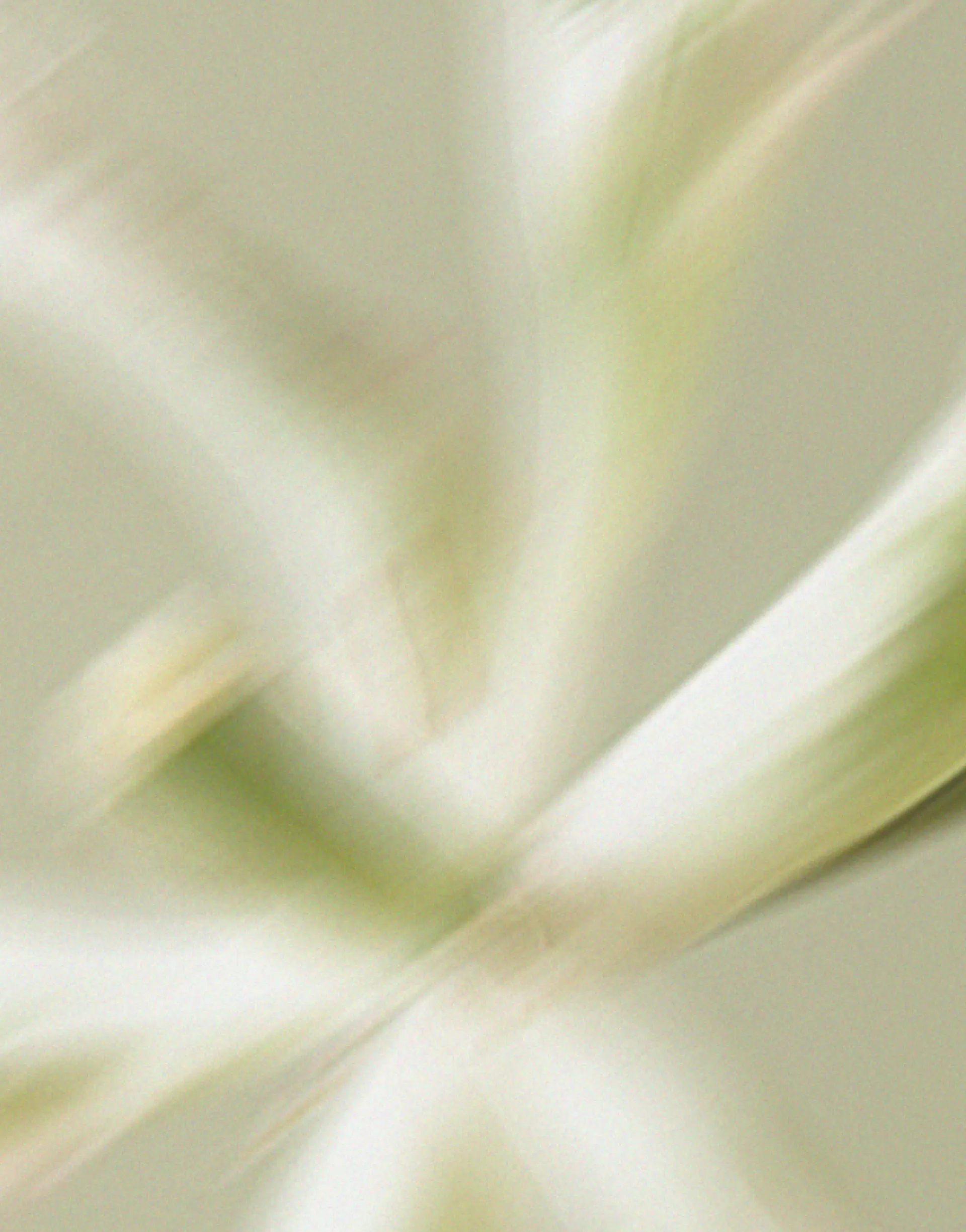 Become a Certified Naturopathic Health Practitioner!