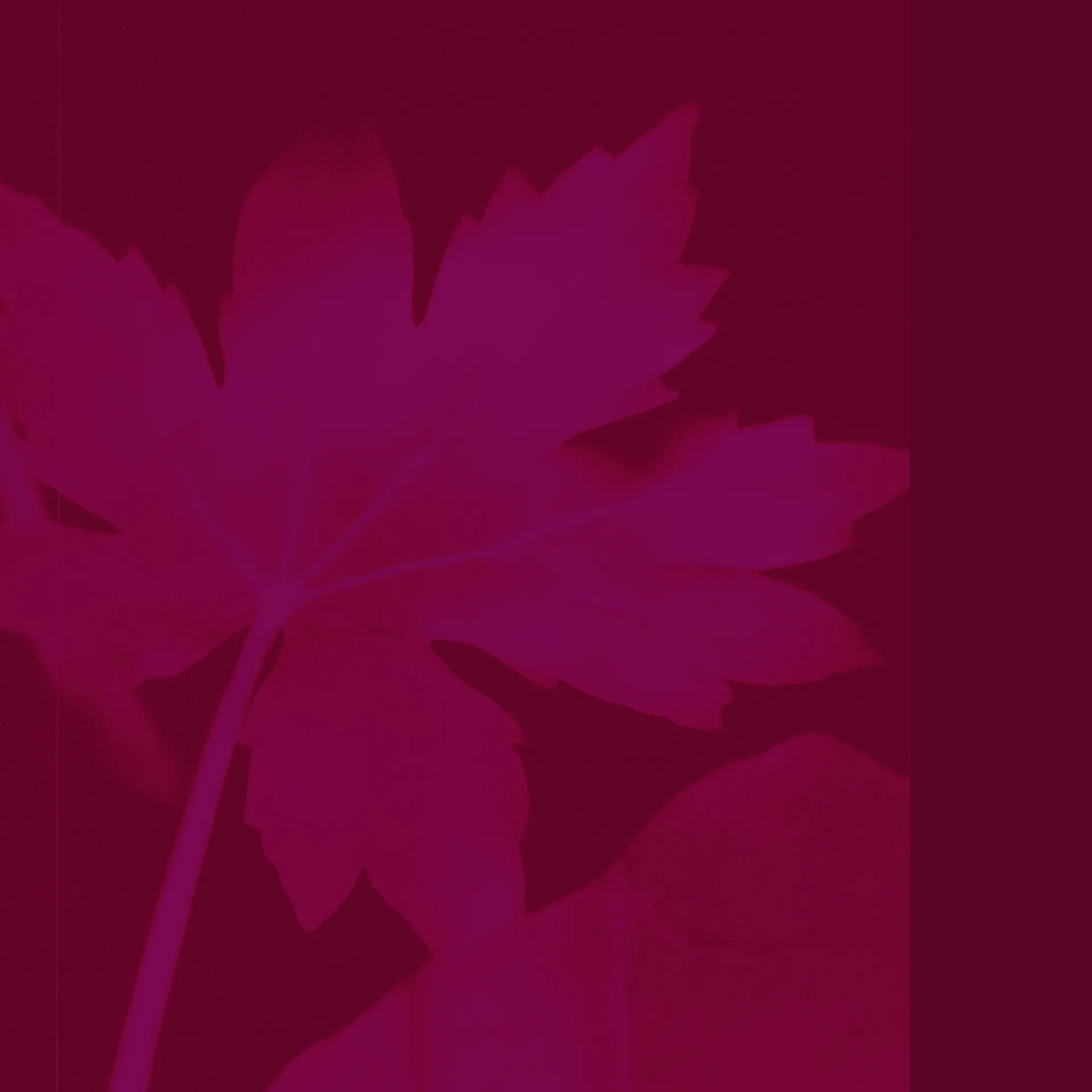 Become a Certified Naturopathic Health Practitioner!