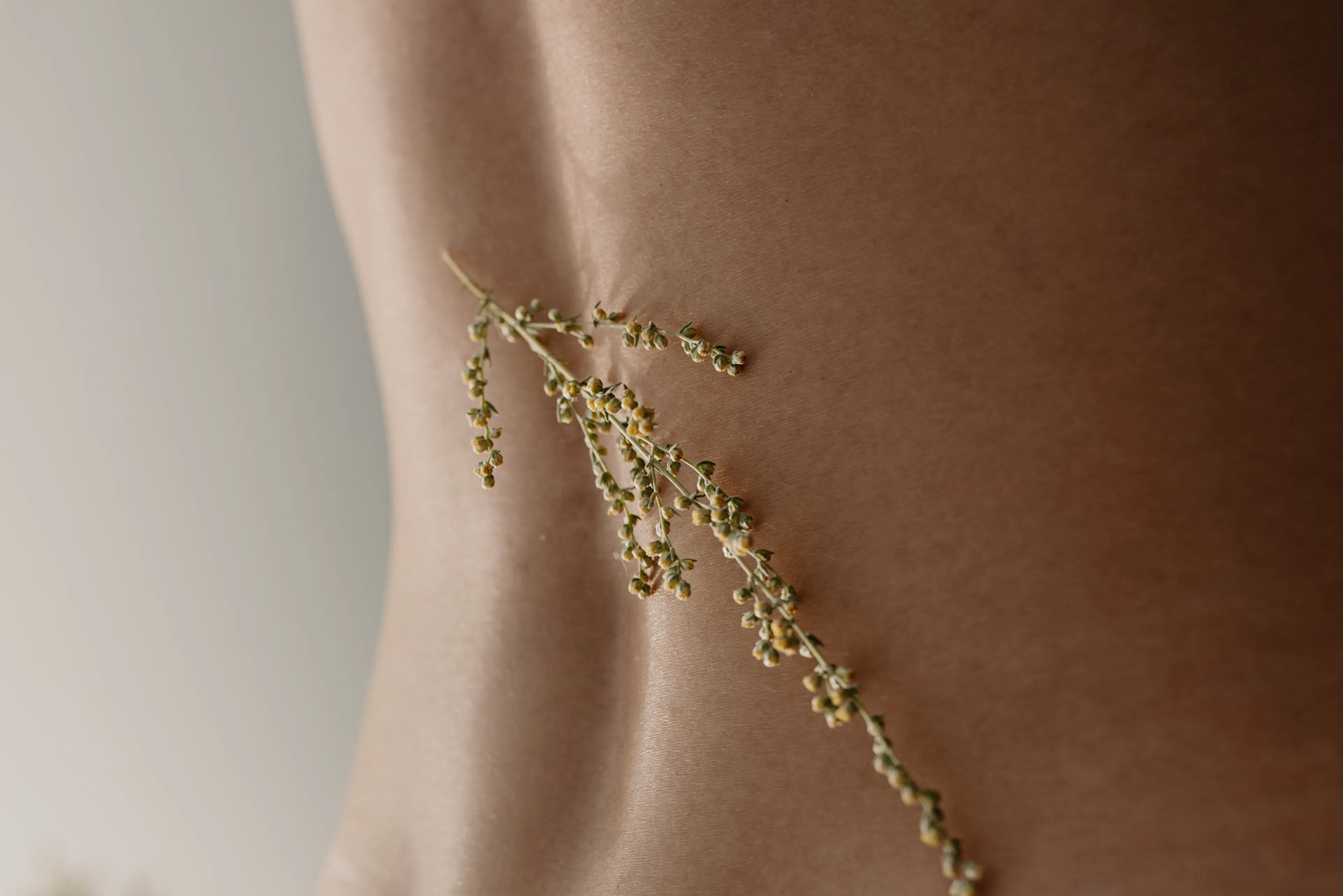Become a Certified Naturopathic Health Practitioner!