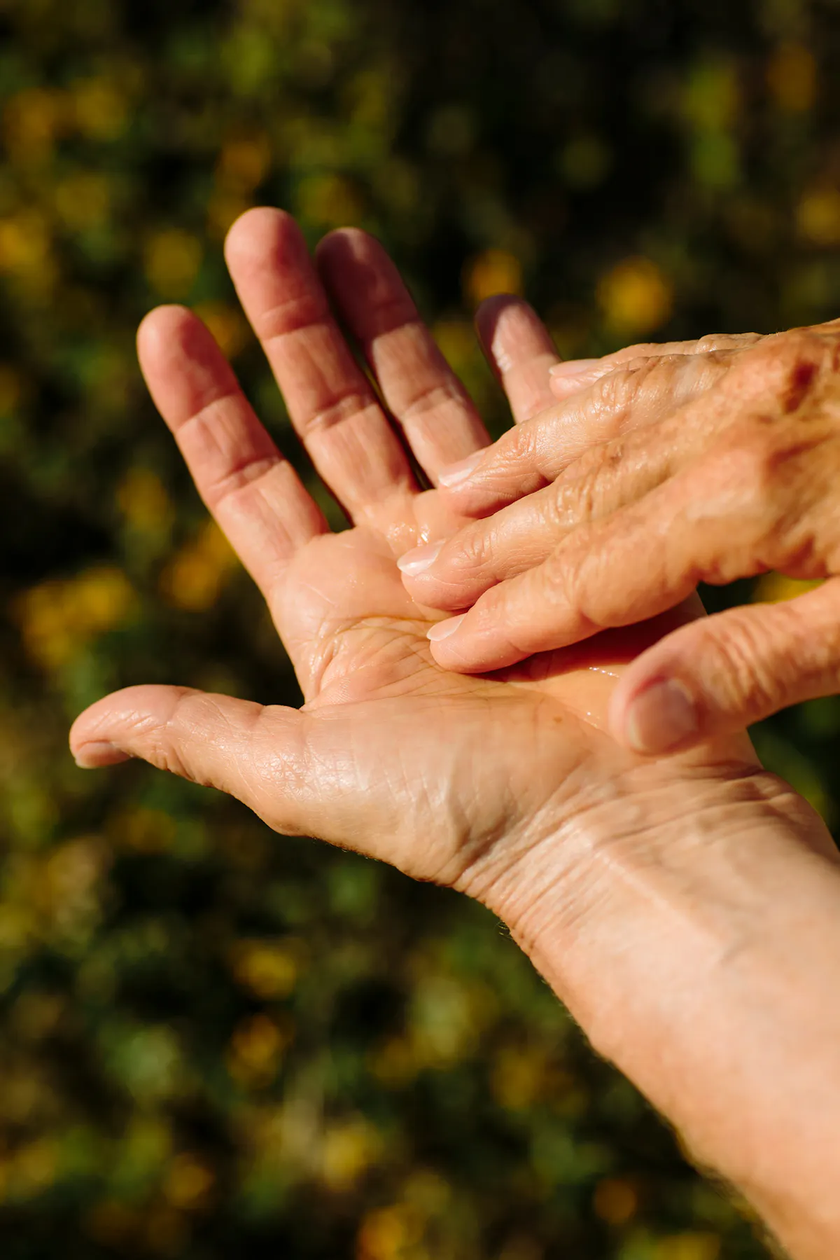 Become a Certified Naturopathic Health Practitioner!
