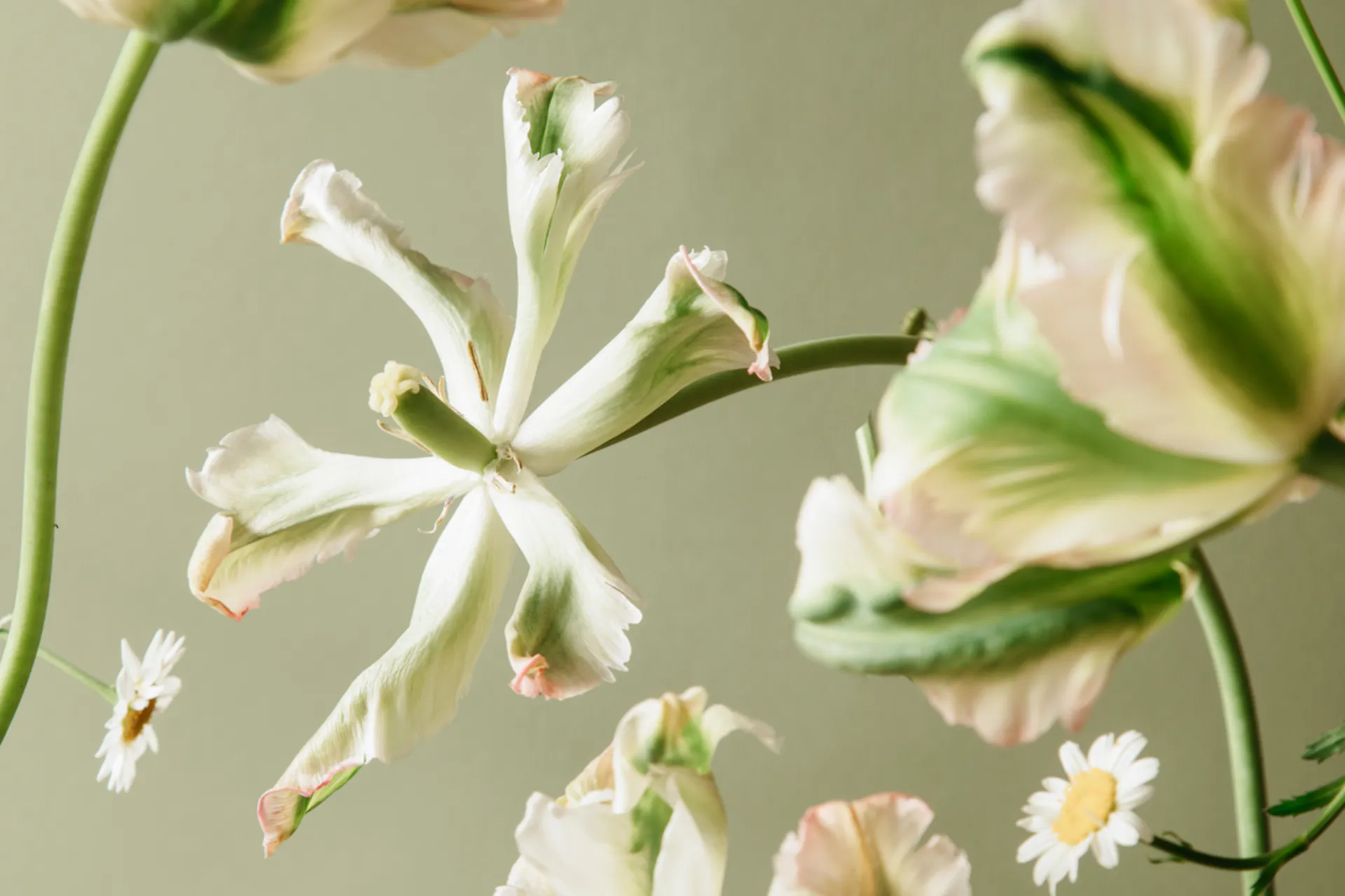 Become a Certified Naturopathic Health Practitioner!