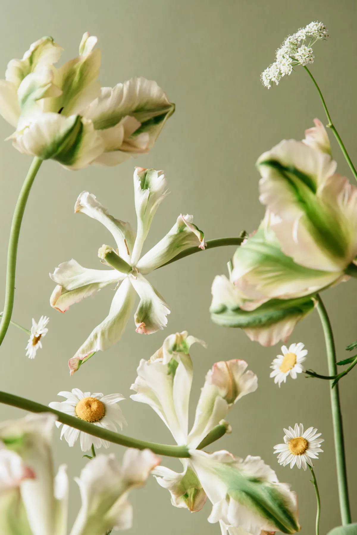 Become a Certified Naturopathic Health Practitioner!