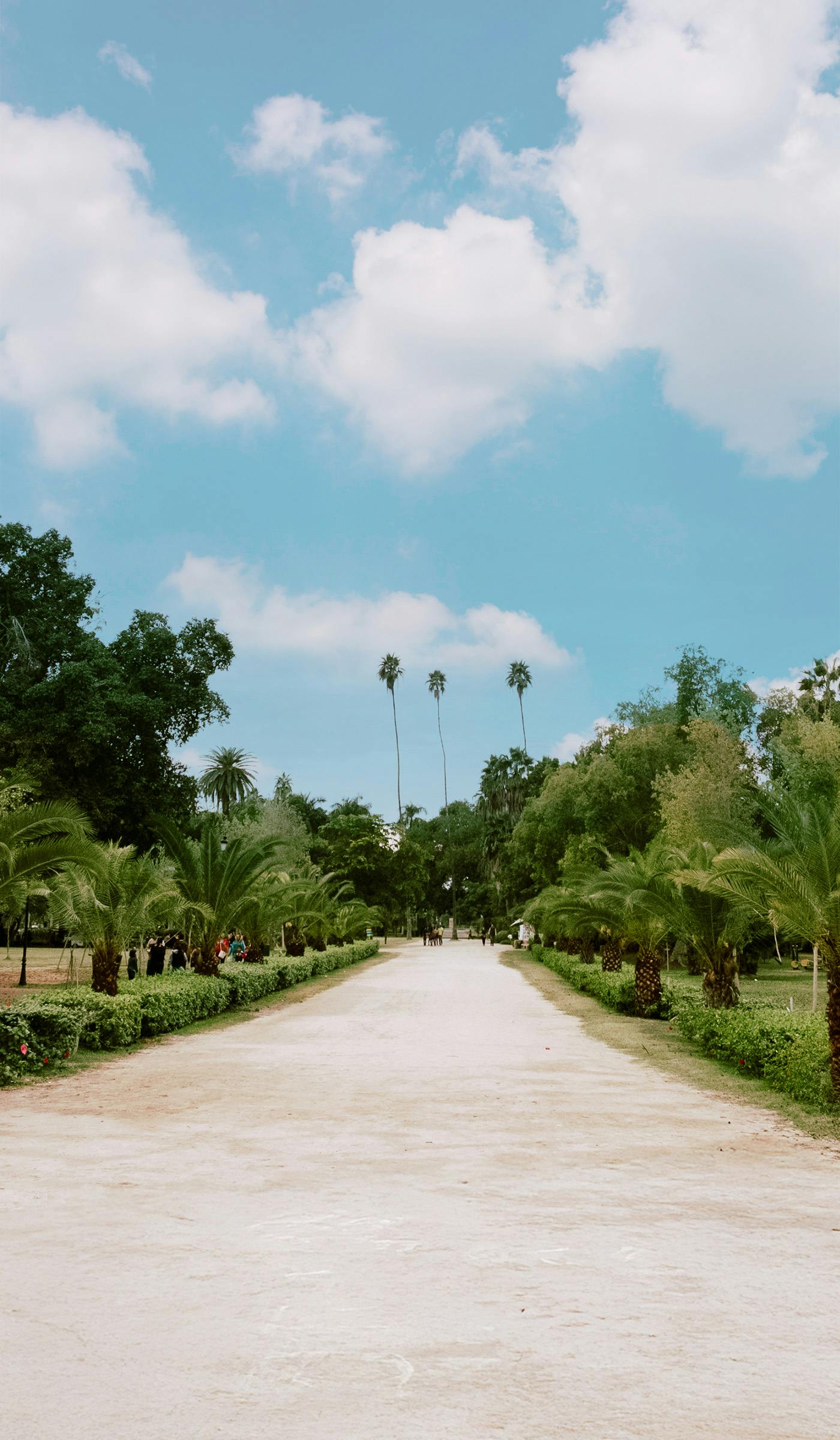TAR Aerolíneas | TAR | Boletos de Avión | Vuelos