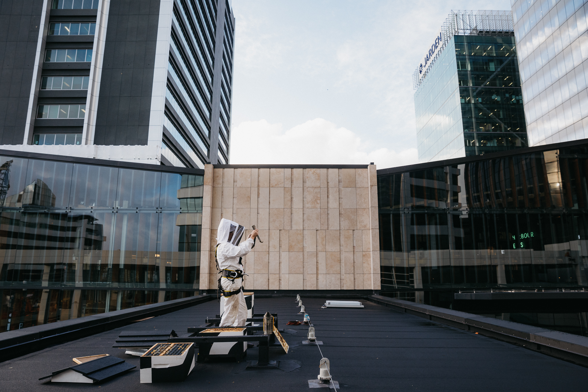 Commercial Bay Bees | Commercial Bay