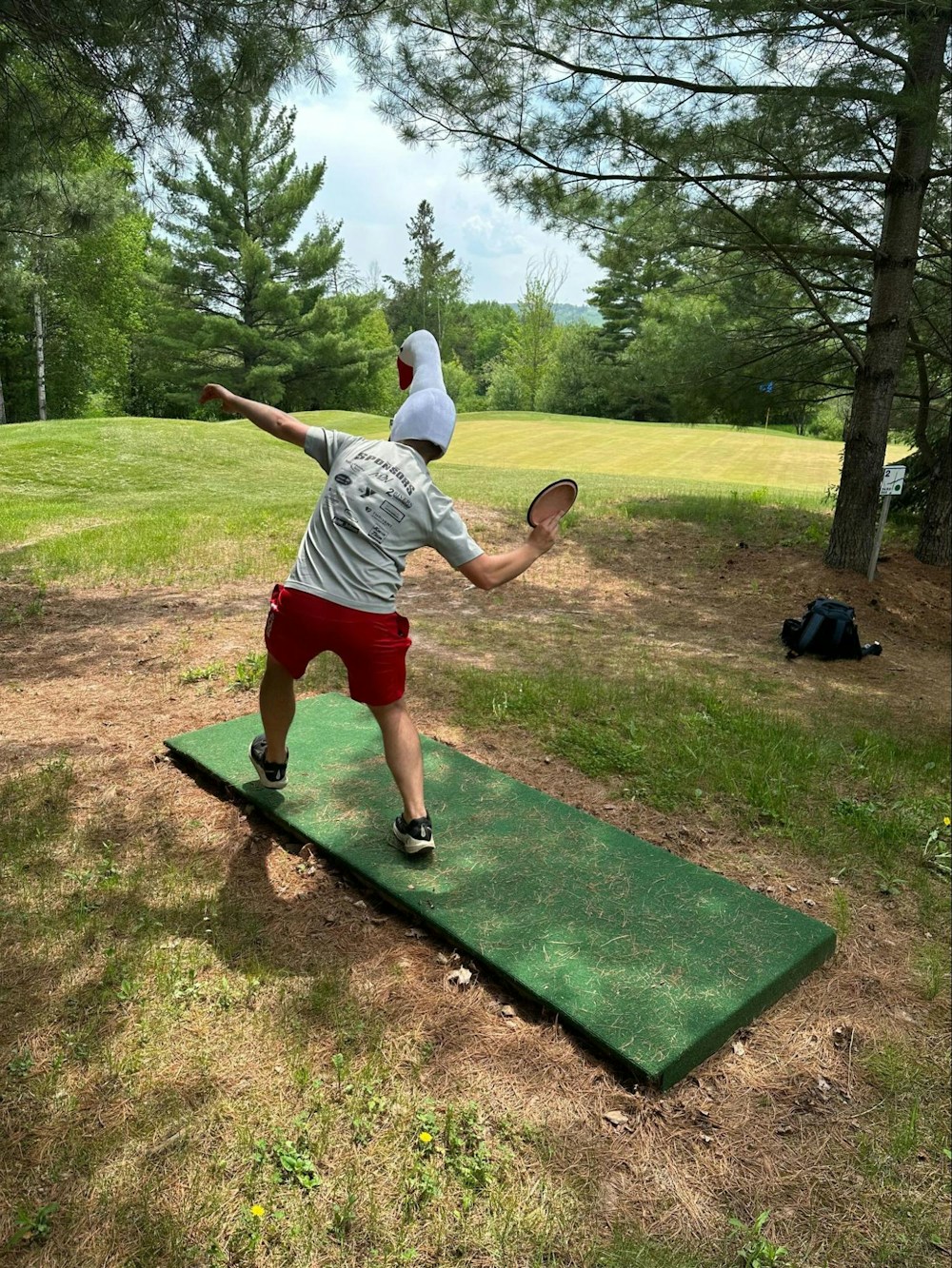 GooseMan Chronicles: Finding Authentic Freedom in the Progressive ...