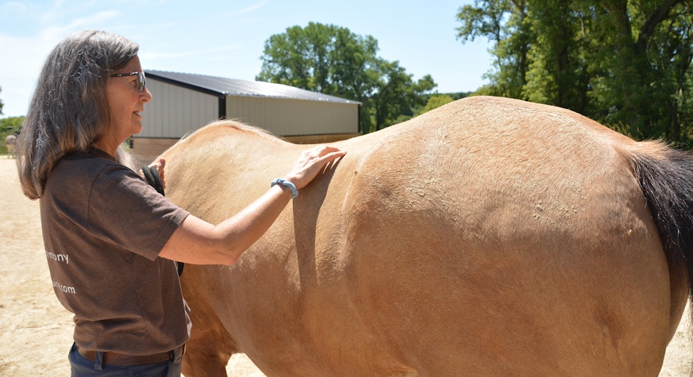 Exploring Equine Bodywork with Red Dog Ranch Founder Sam MacLean | Commonstate