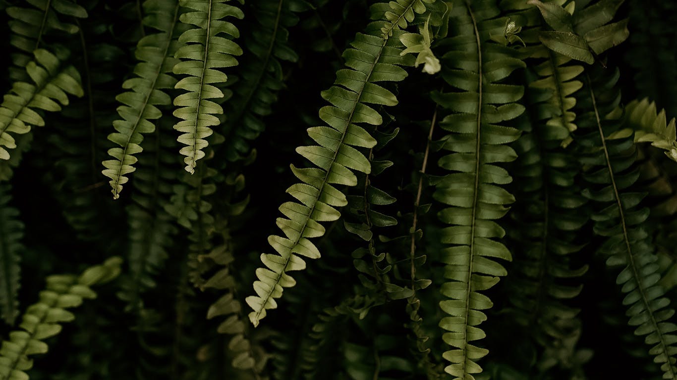 Green Value Stream Mapping: Nachhaltige Prozessoptimierung ...