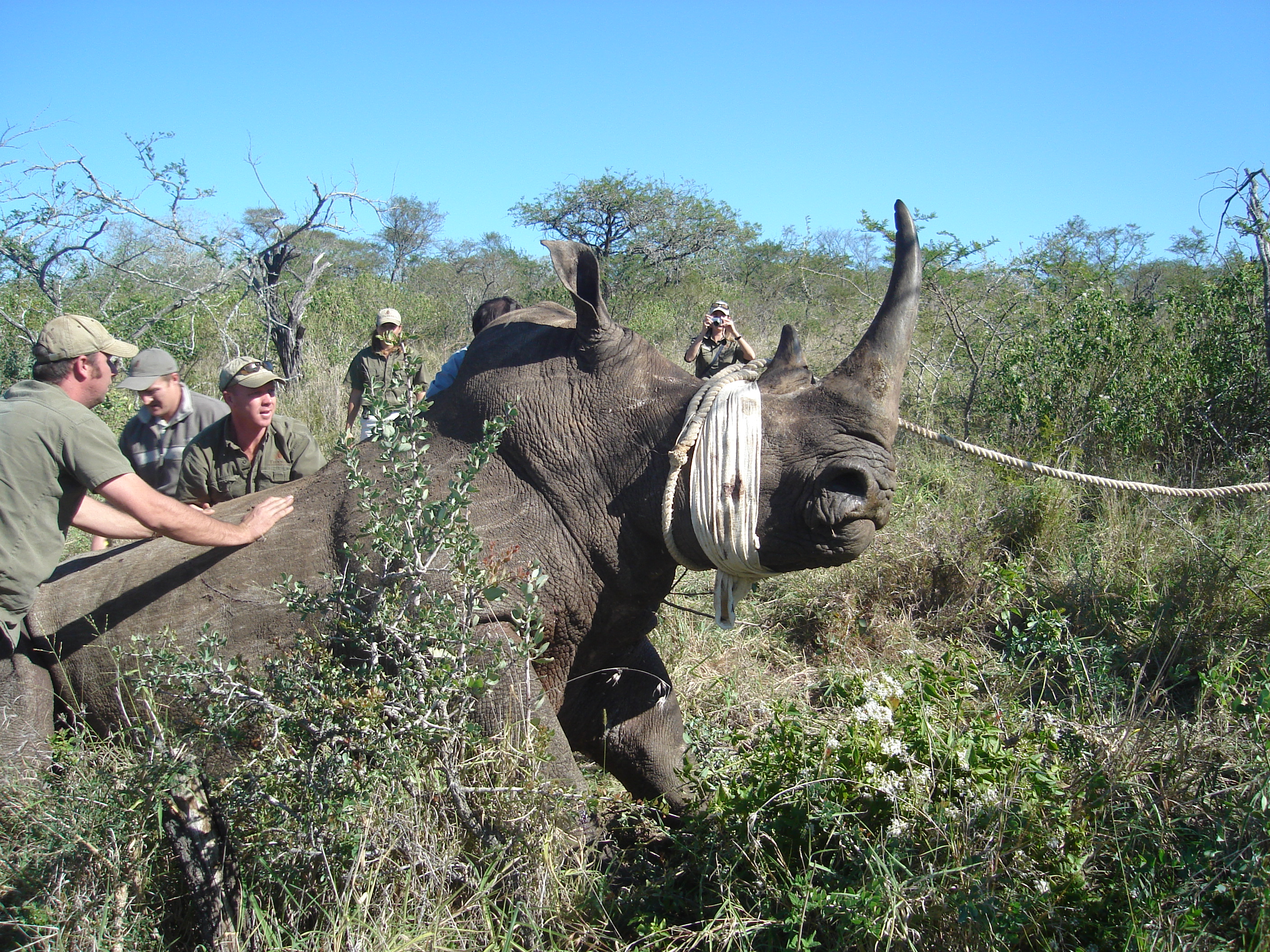 Game Capture And Relocation Experience