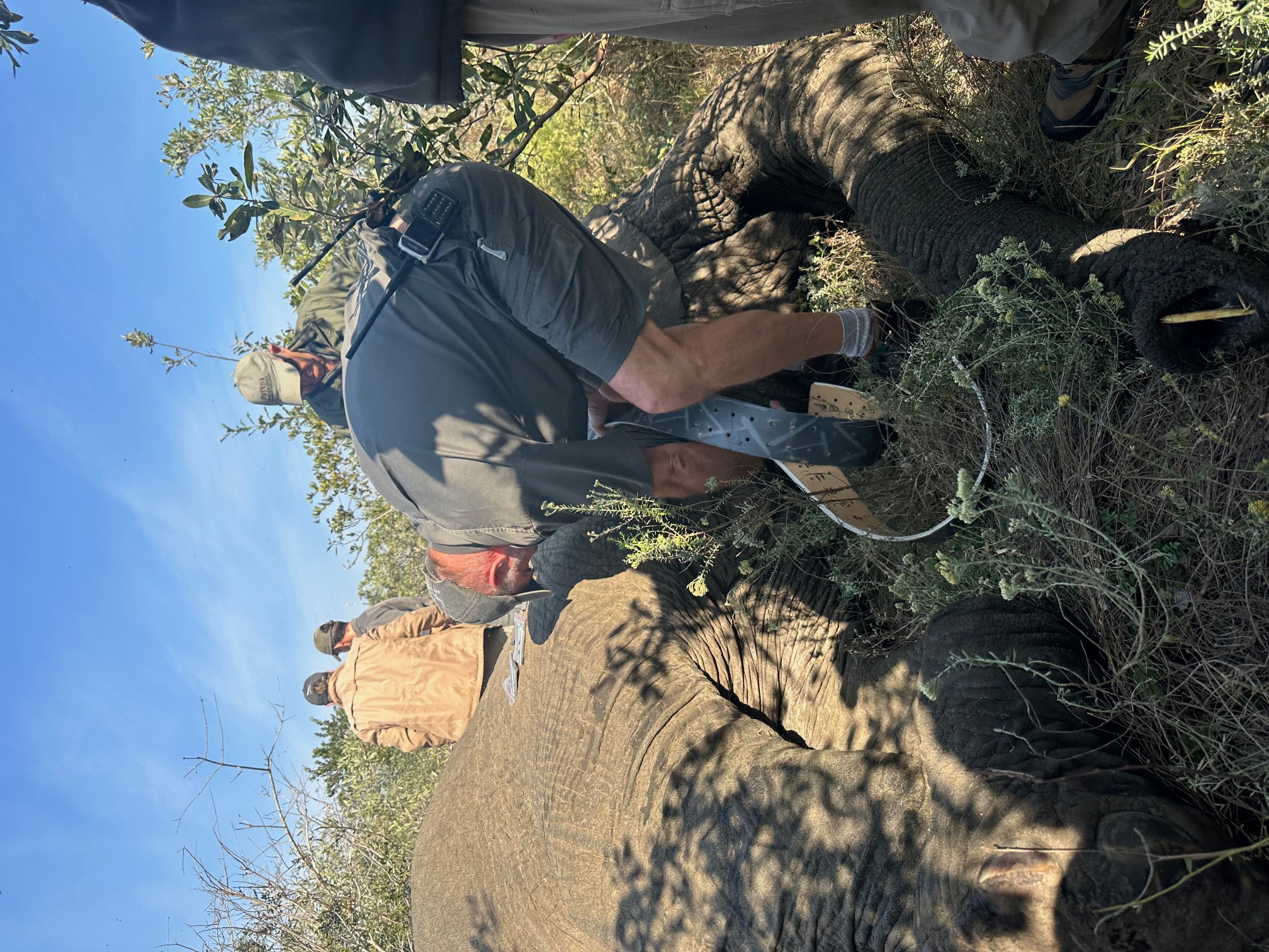 Traveller Stories: Payton McGarva