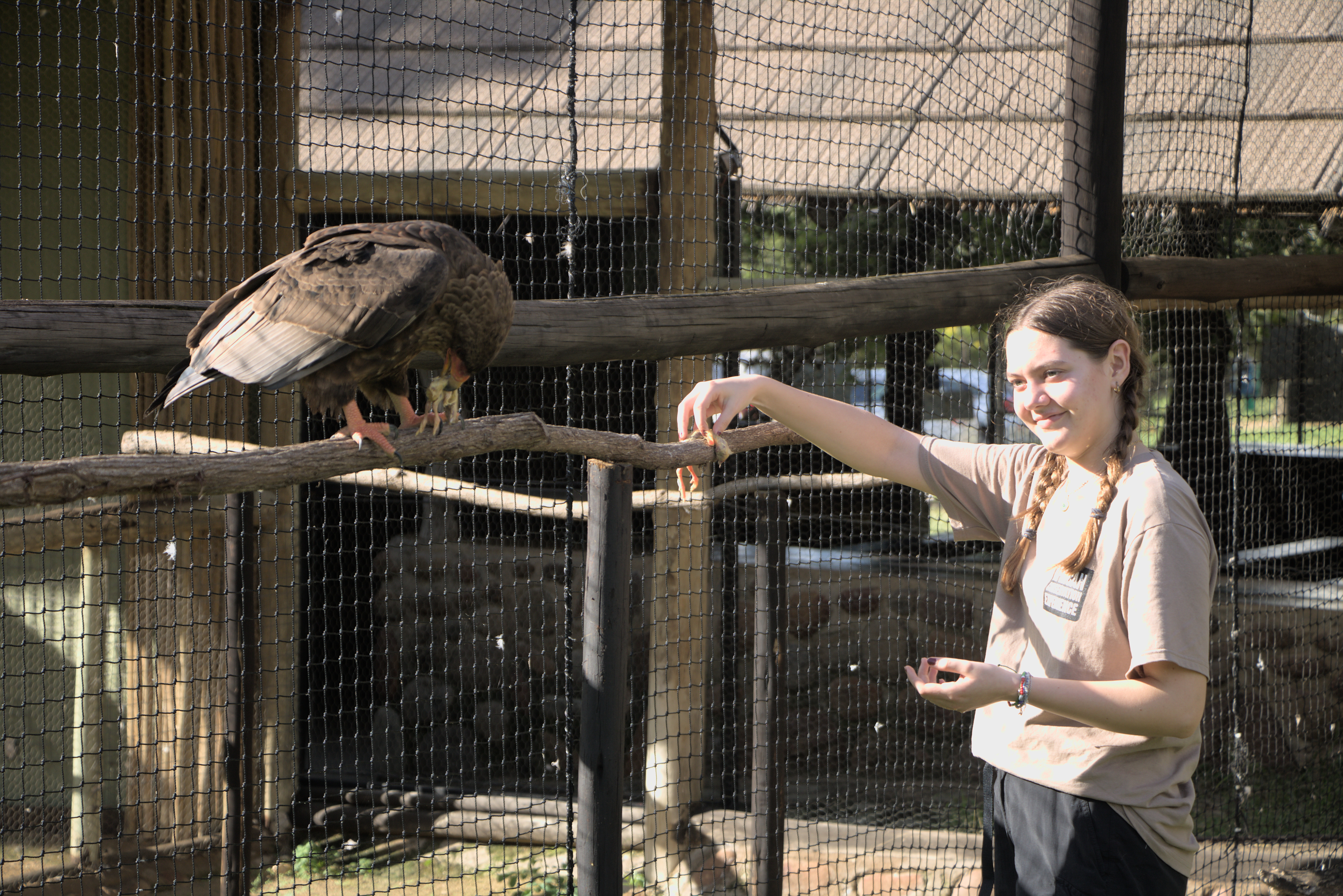 Animal Care And Conservation Field Trip to Africa