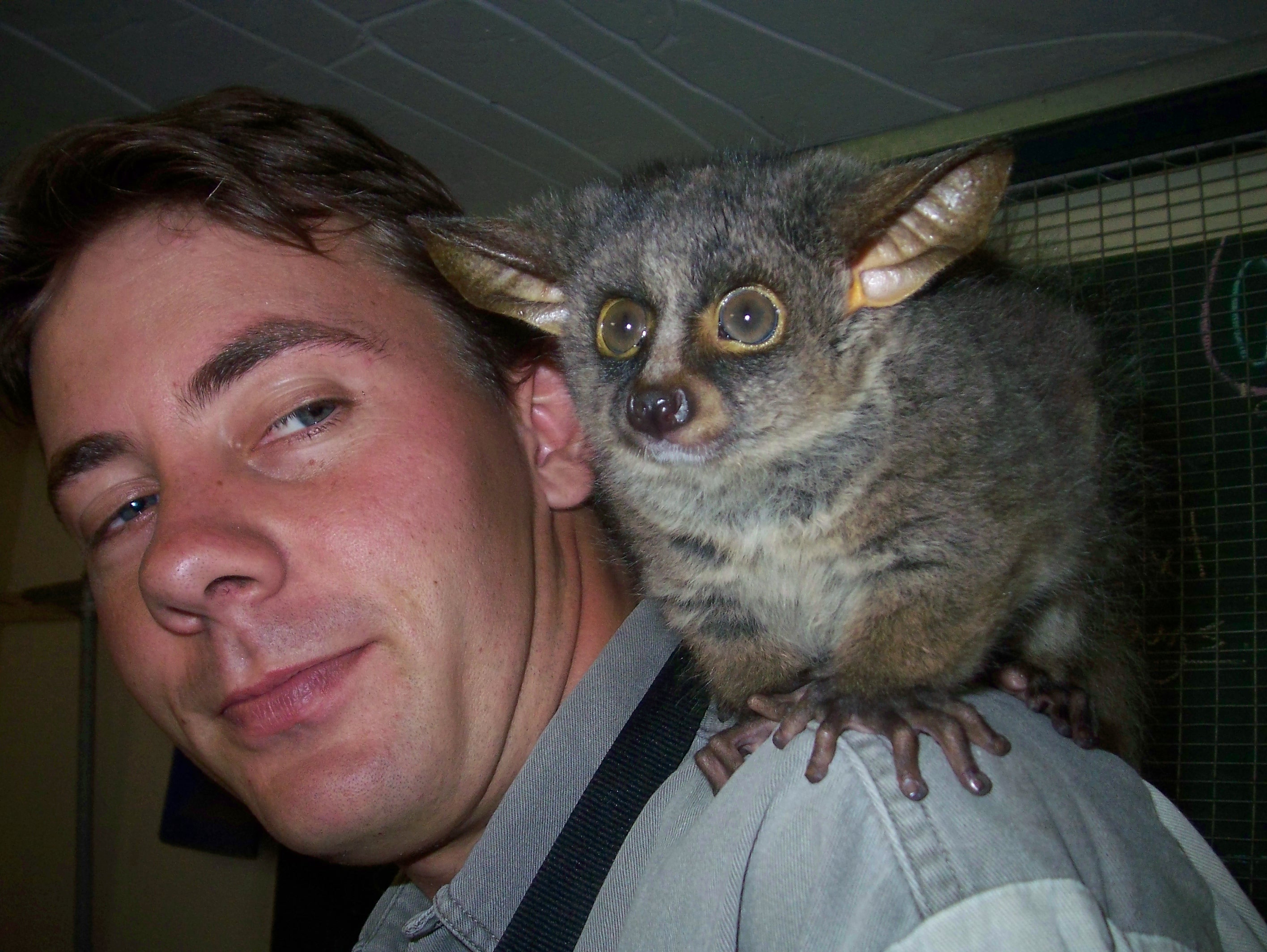 Moholoholo Wildlife Rehabilitation Centre