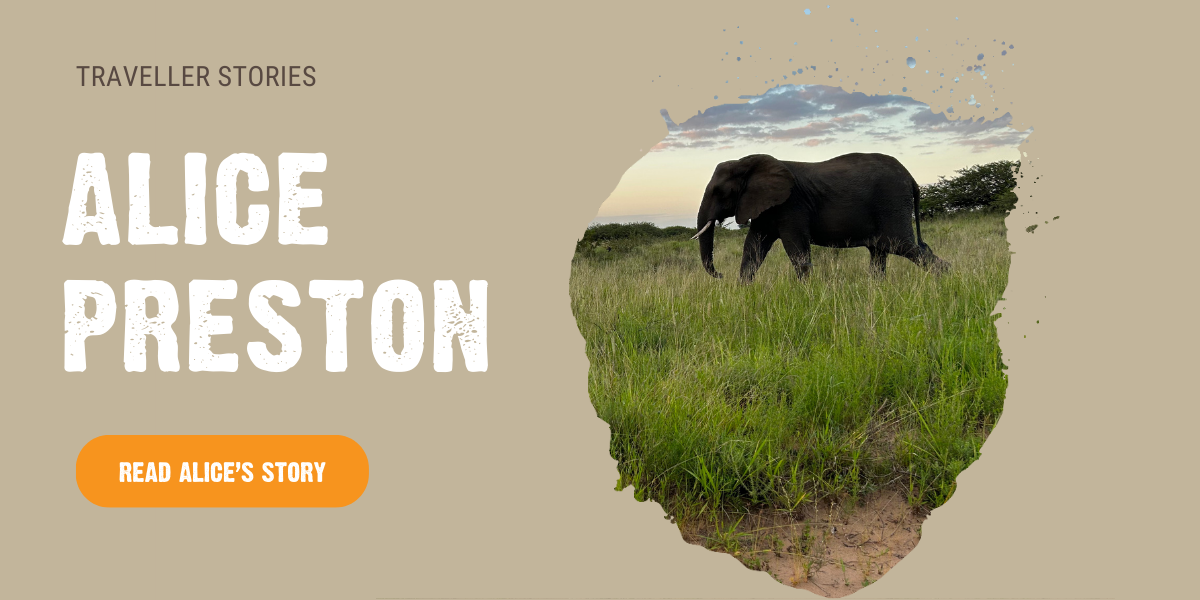 Traveller Stories: Alice Preston